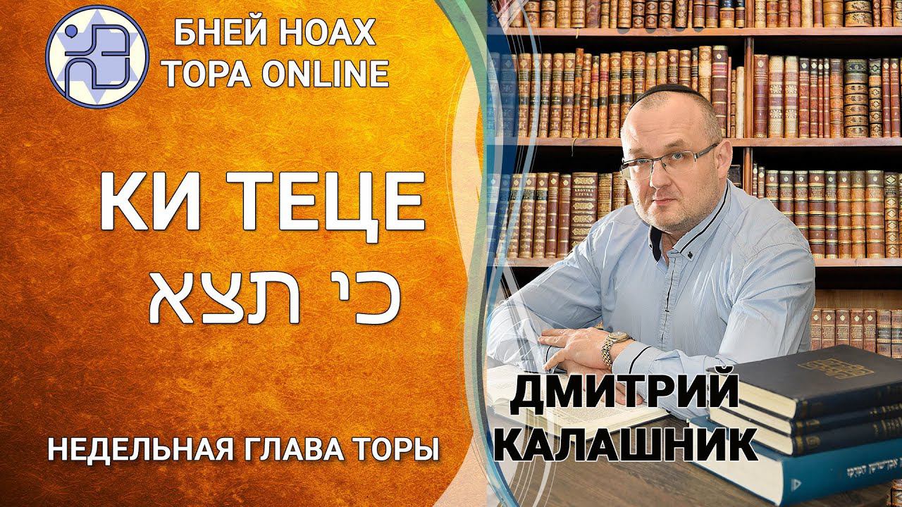 Недельная глава КИ ТЕЦЕ (כִּי תֵצֵא) || Дмитрий Калашник ||  5782