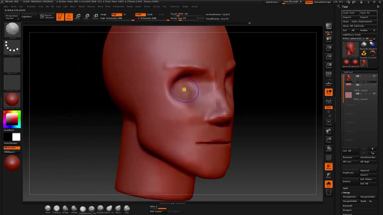 Anat Vol 02 09  Standard and Head Proportion Part2 2