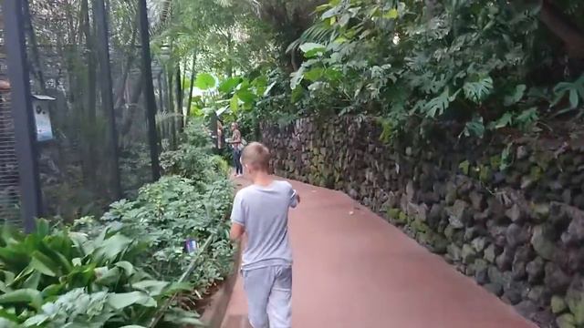 Лоро Парк. о. Тенерифе. Канары.