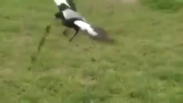 Есть от чего улыбнуться