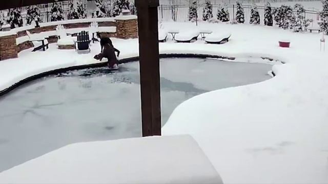 ? Видео, в котором всё закончилось хорошо‼