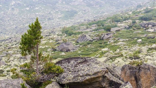 Ергаки,15 июля 2019,радиалка от озера Каровое до озера хайдеггера  ,часть 7