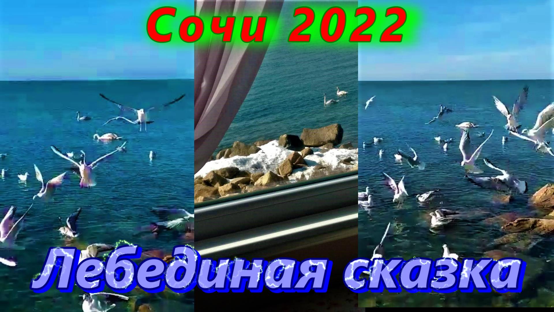 Лебединая сказка где-то в России/ Море и лебеди