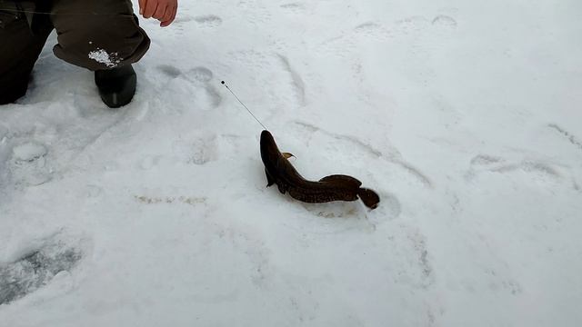 Зимняя рыбалка Сибирь 2022г