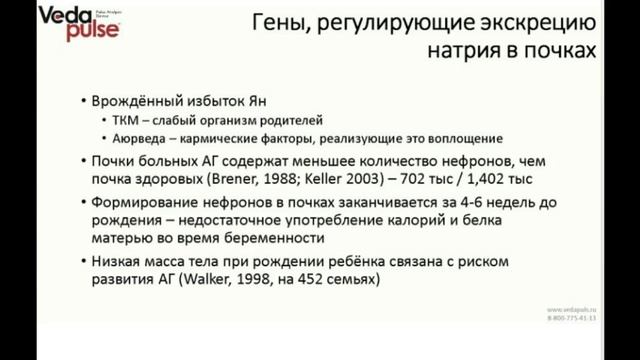 Аюрведа и ТКМ. Синдром Избытка Ян/ Питта в дисбалансе с нарушением Питта СубДош