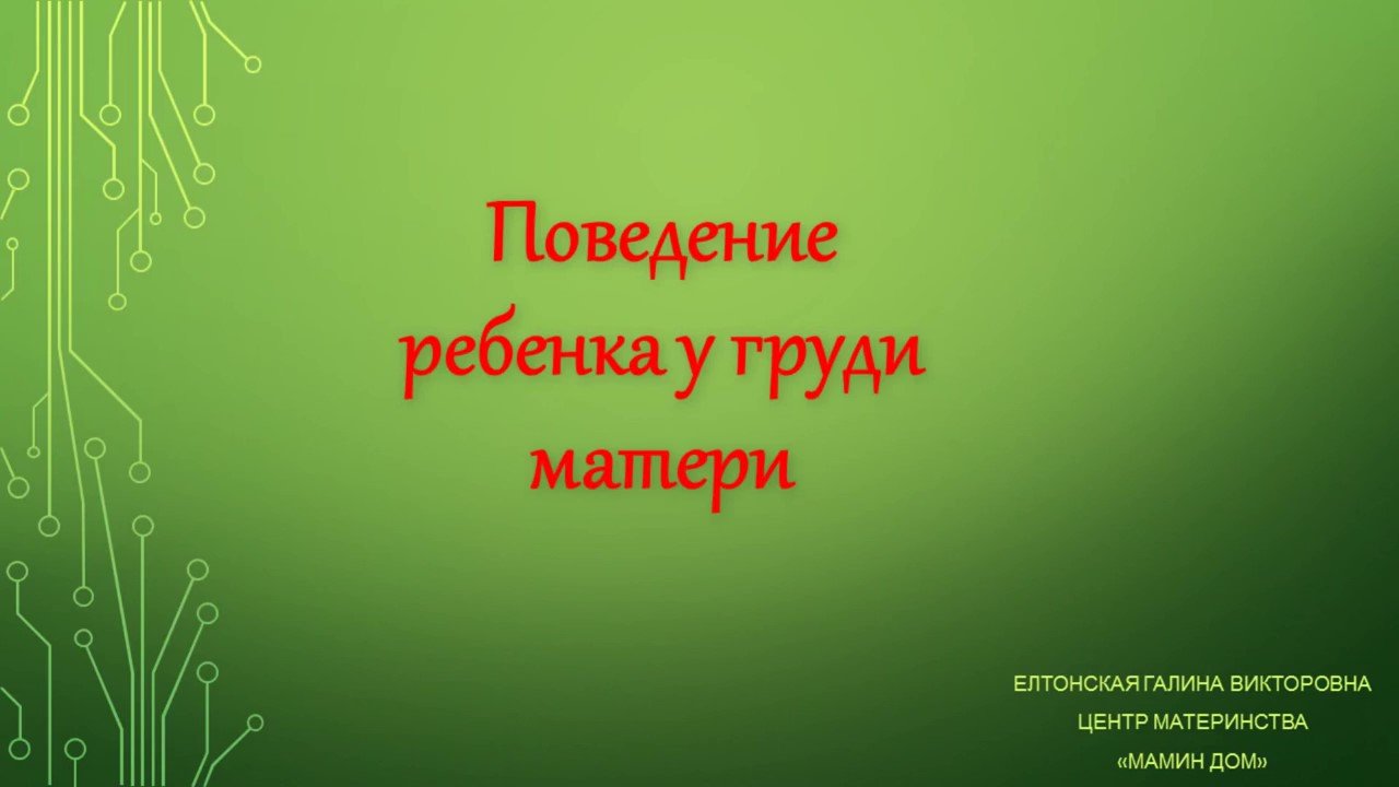 Урок 6. Поведение ребенка у груди матери (720p).mp4