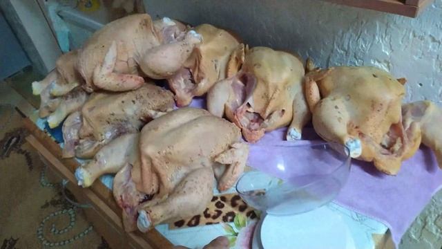 Бройлеры в 47 дней. Взвешиваю тушки. Результат! mp4