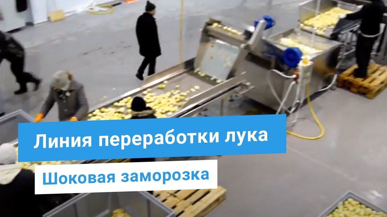 Промышленная переработка лука. Линия калибровки, мойки, очистки, нарезки, заморозки, расфасовки лука