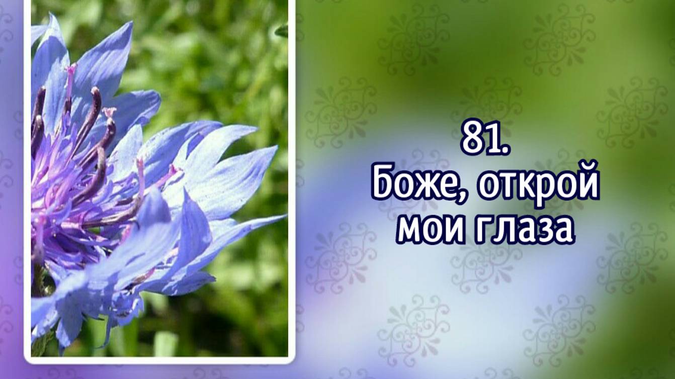 Гимны надежды 81 Боже, открой мои глаза (-)