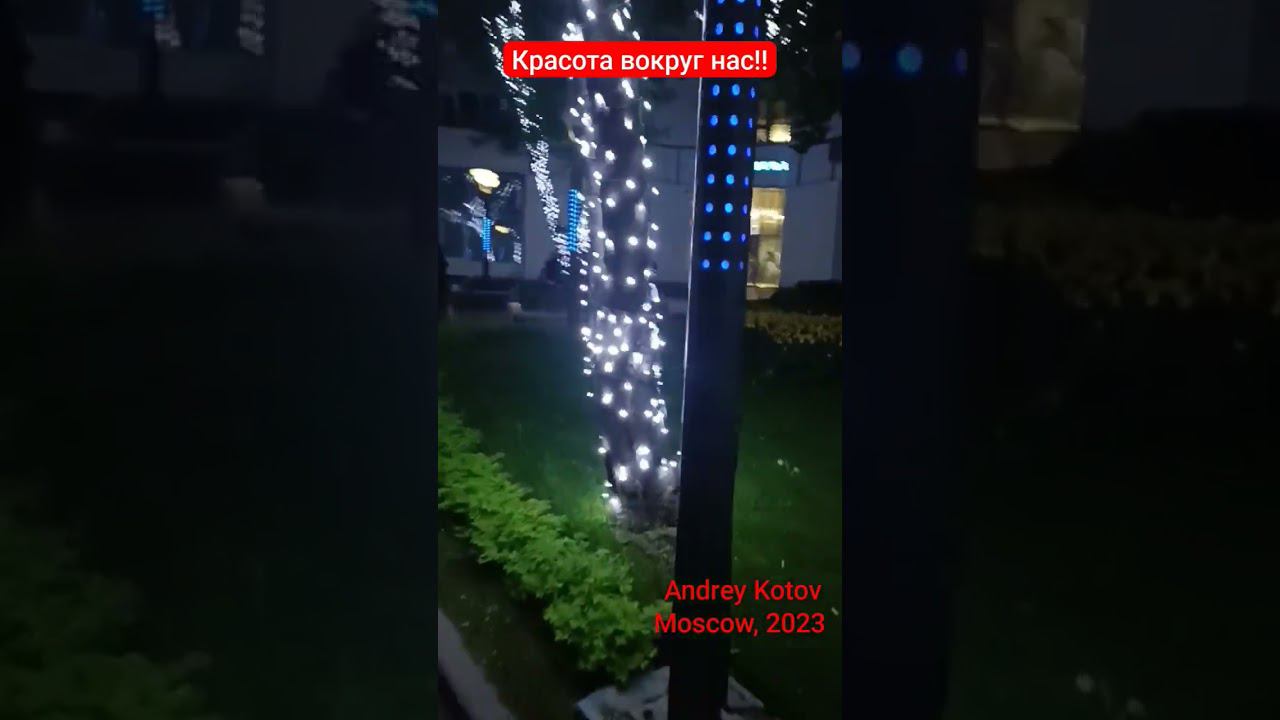 Красота вокруг нас! Москва 2023 #moscow #красотавокругнас #2023