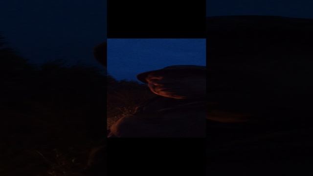 АНЕКДОТ ПРО МЕНТА ОТ БАТИ