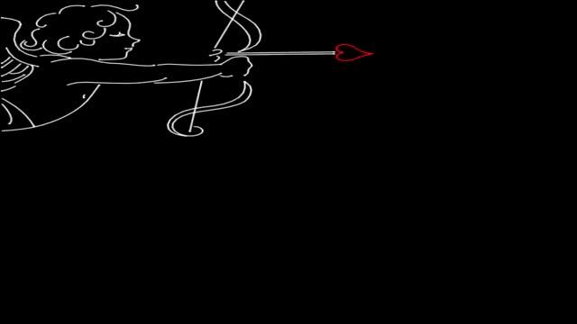 Свадебный ролик