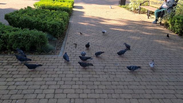 World in Emotion #46 Studencheskiy Skver Pashkovskiy Krasnodar