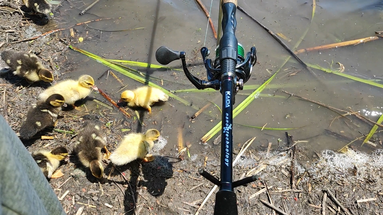 Рыбалка была ИСПОРЧЕНА! Ветер ПОЛОМАЛ зонт, но КАРАСИКИ ловились. Любительская рыбалка.