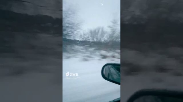 #shorts #short #всибири #влог #поставьлайк #хочуврек #вдоме #дача #поставьлайк #хочуврек #