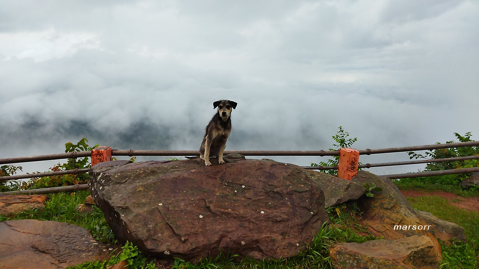сисакет. просто туман. приграничный парк khao preah vihear national park ศรีสะเกษ sisaket