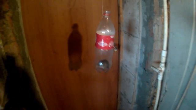 Мышеловка из пластиковой бутылки своими руками вместо магазинной.mp4