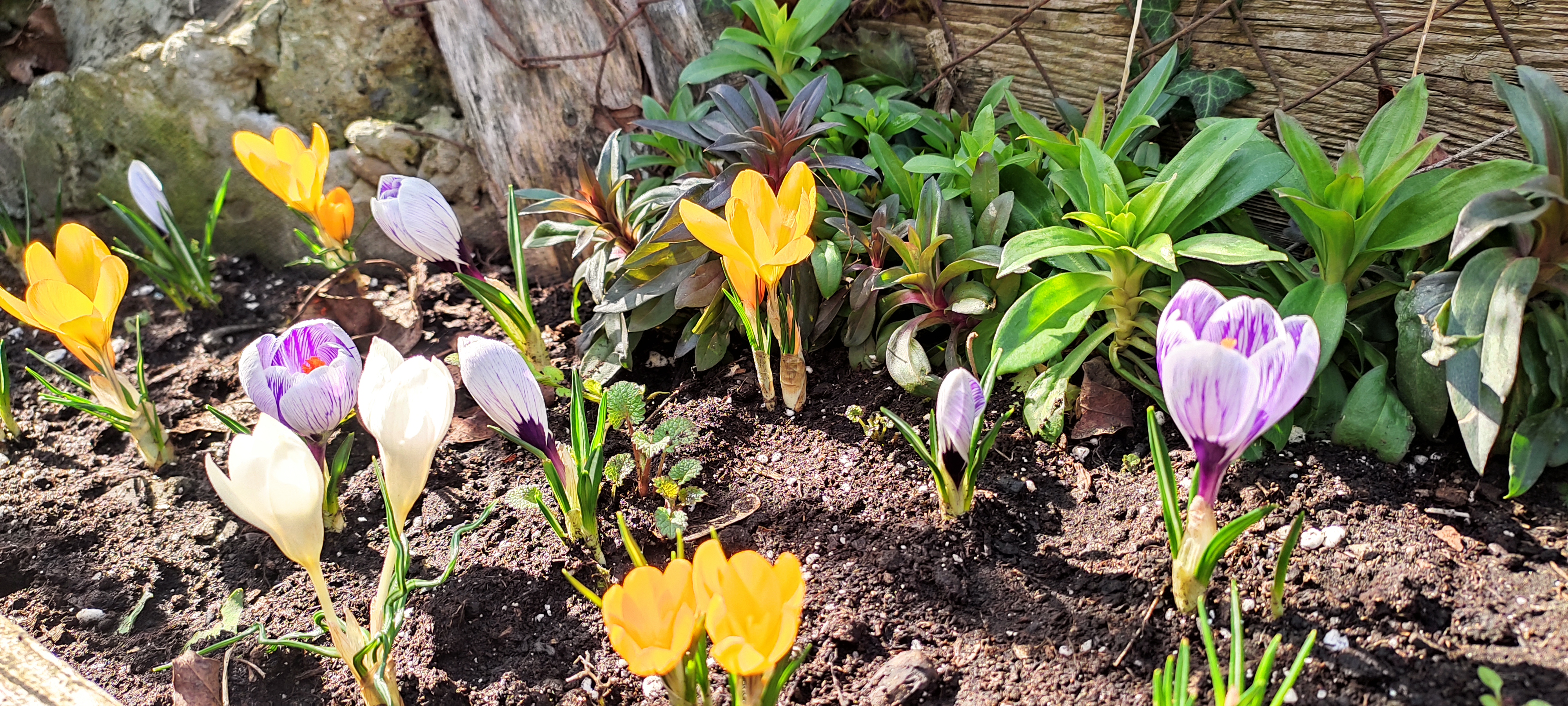 2024 апрель Хатка Мой райский уголок