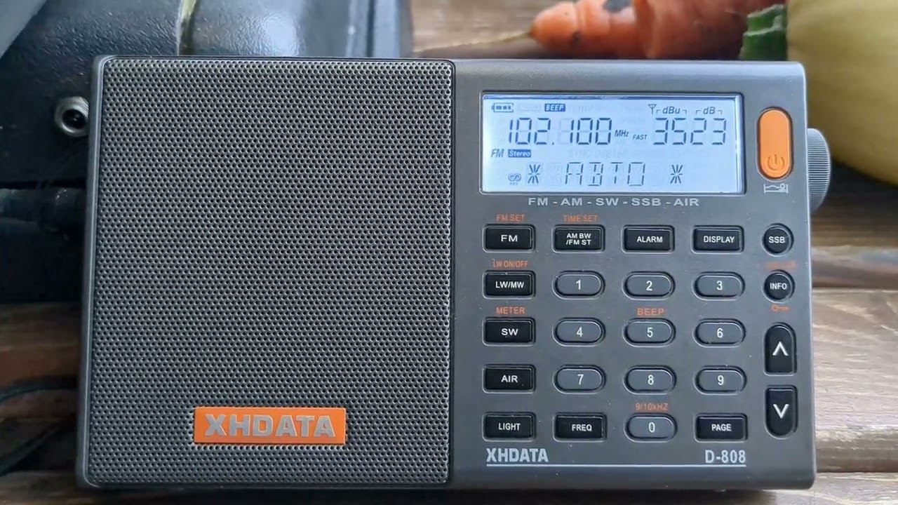 Радиостанция АВТОРАДИО" в Липецкой области. Радиоприемник XHDATA D-808.