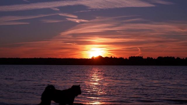 Закат над рекой