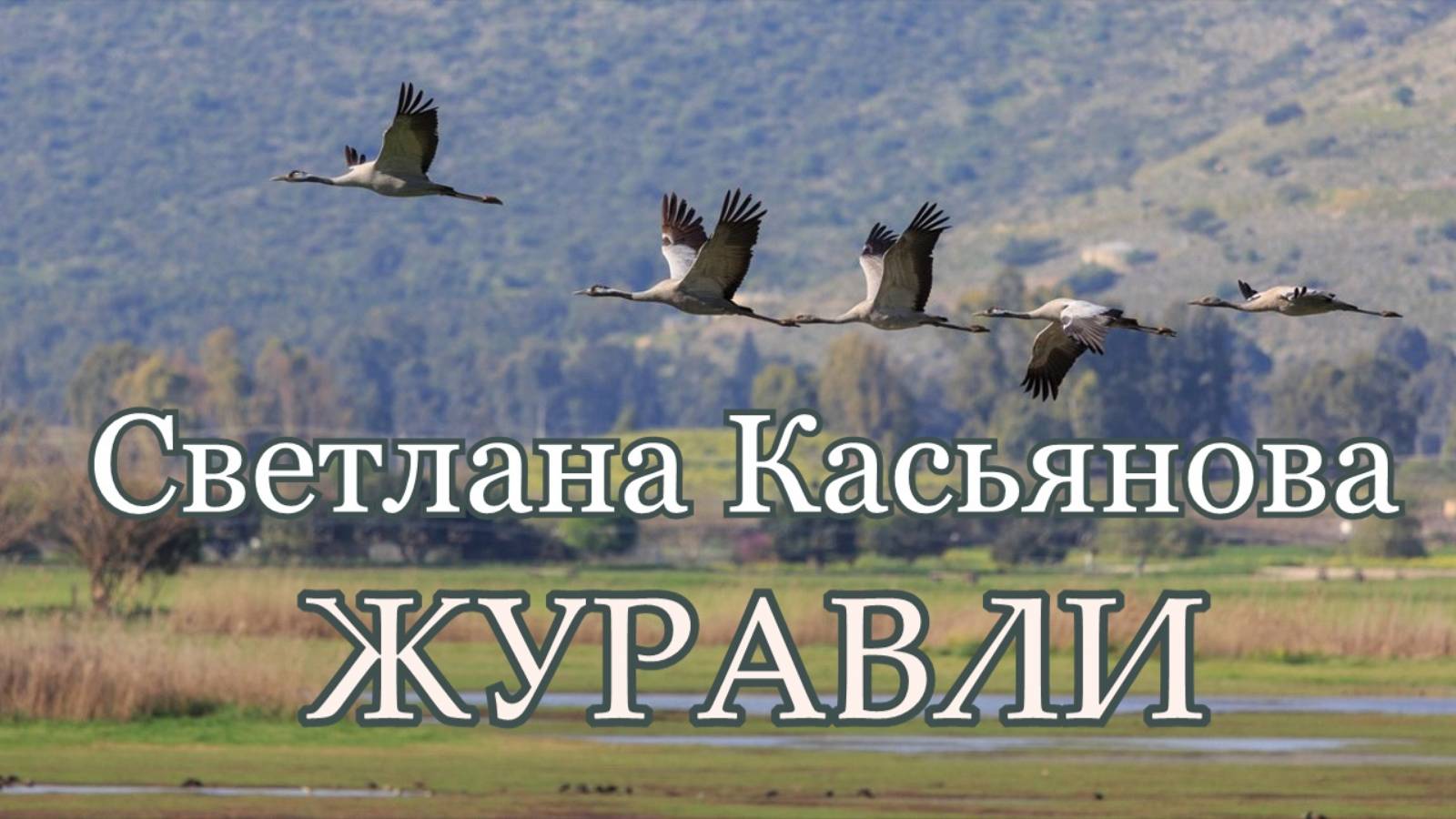 Светлана Касьянова  - песня "Журавли."