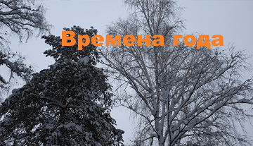 Стихи о жизни. Времена года. Татьяна Логиновская