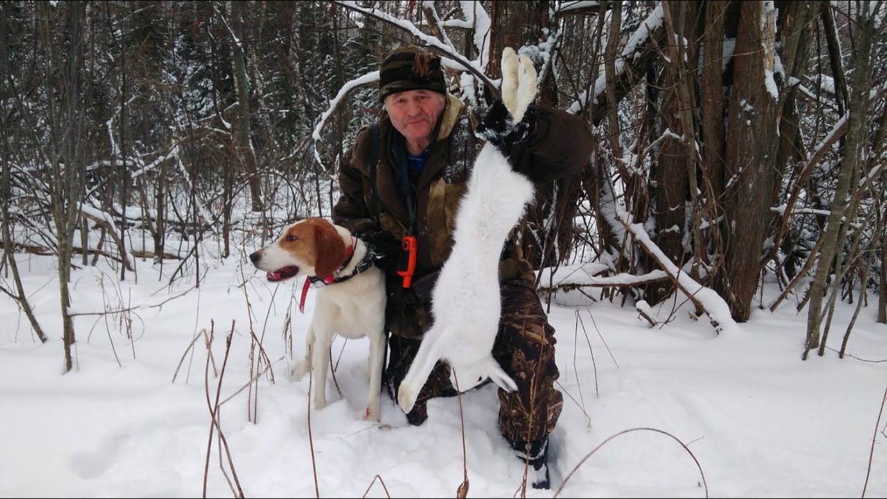 Пять ПАТРОНОВ, два ЗАЙЦА! Охота на ЗАЙЦА! Сезон 2021-2022г.