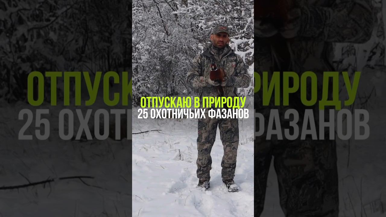 Друзья, также, у меня есть инстаграм: @apres.apresian . Подписывайтесь!