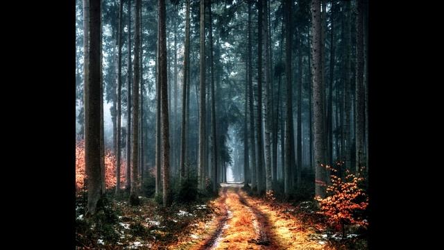 Библия. 29-08. Песнь Песней Соломона (08). О, если бы ты был мне брат.