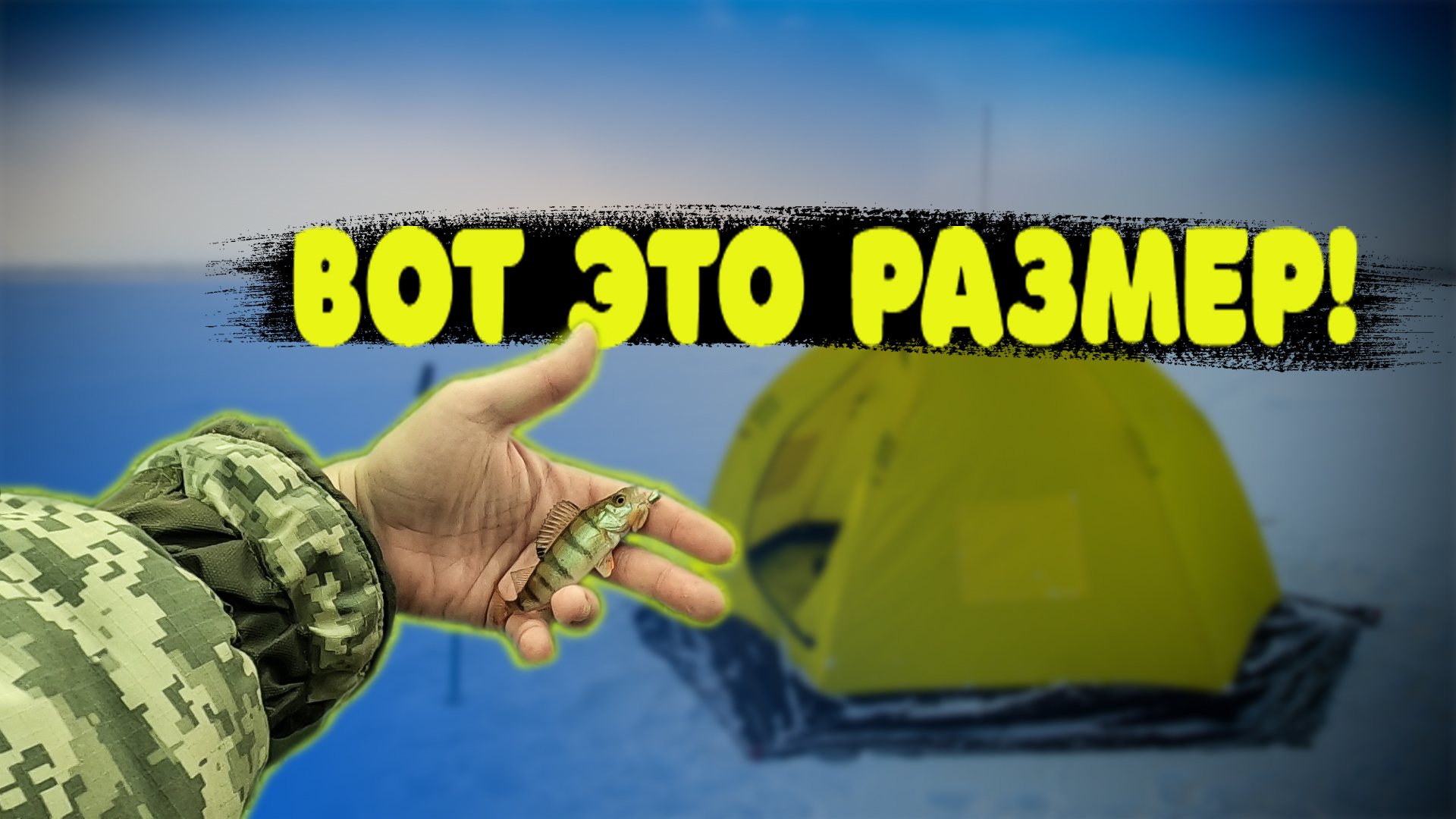 Хотели поймать рыбу, а наловили шпротов