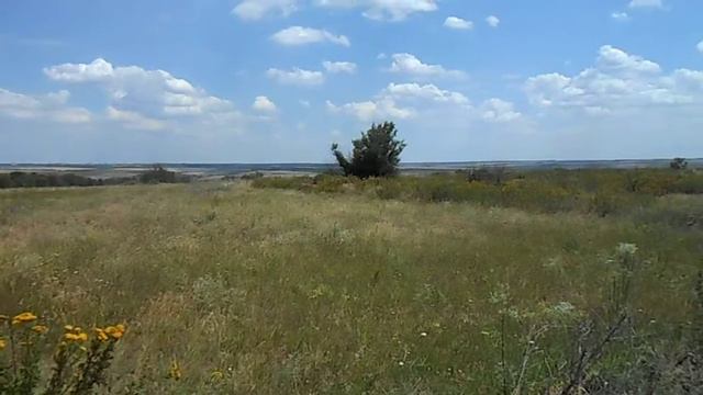 8 Июля. 2018 (1)