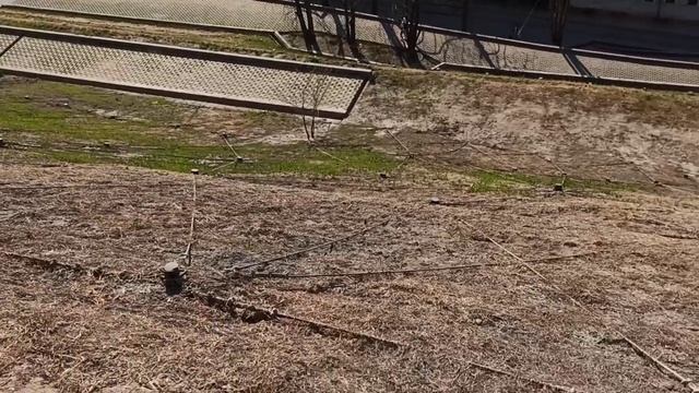 Укрепление склона под Северной башней Нижегородского Кремля от сползания грунта. Апрель 2023