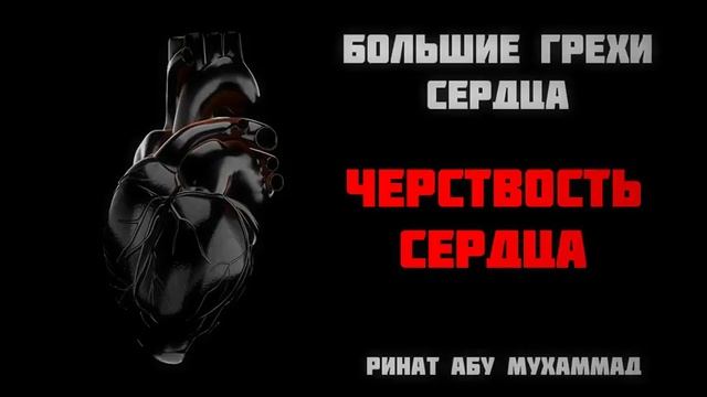 11_Большие_грехи_сердца__Черствость_сердца____Ринат_Абу_Мухаммад.mp4