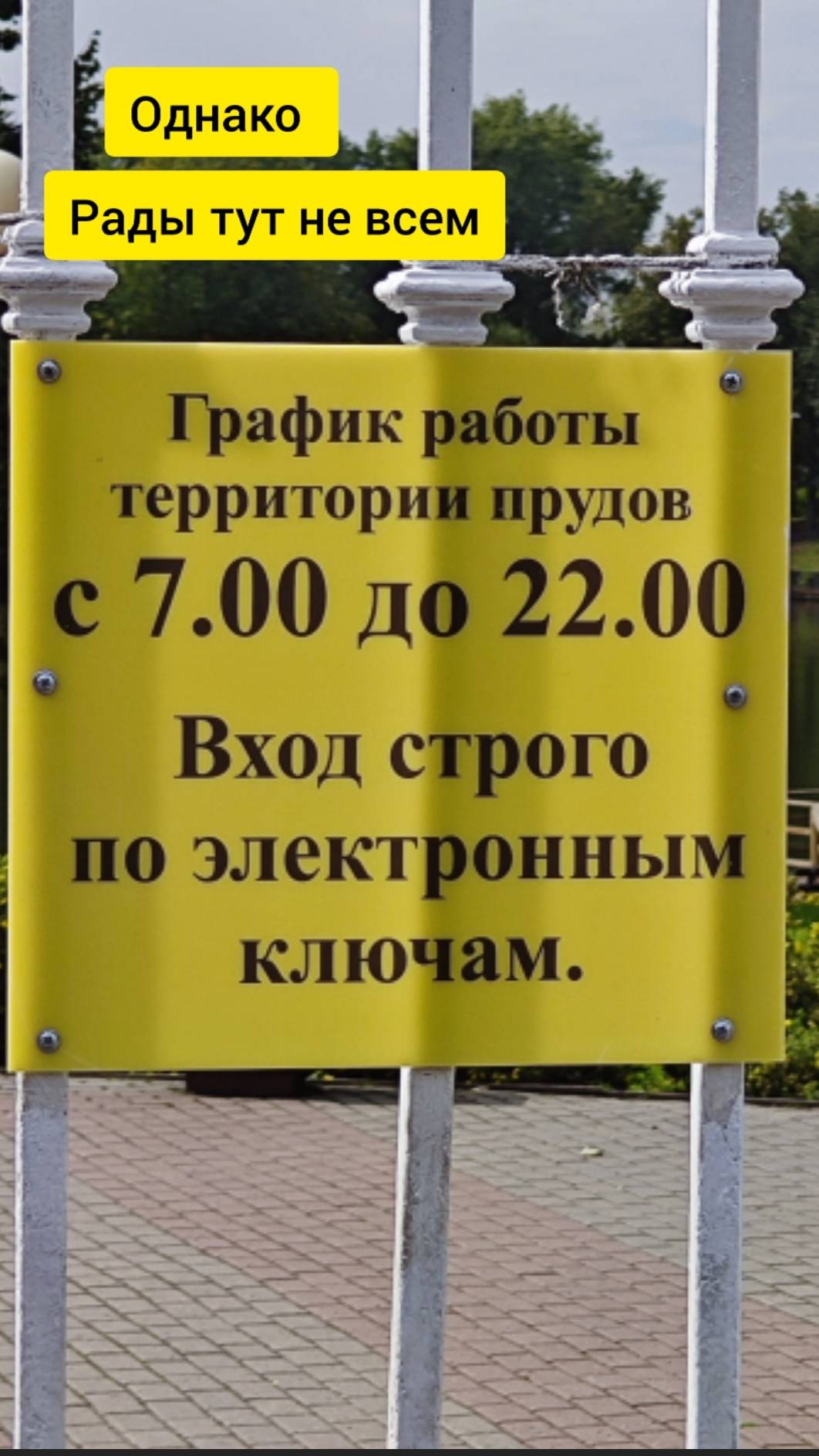 Самый удивительный посёлок МО!
#закрыто #клубника #москва #город #грудинин #посёлок #мо