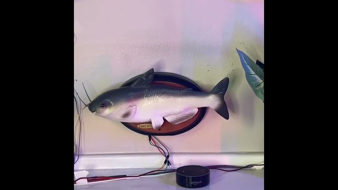 Гениально! / Талант не пропьешь =)