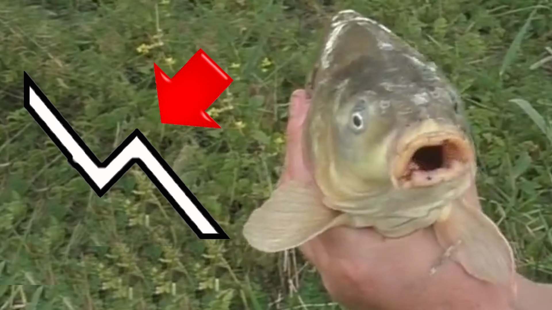 Для того, что бы на рыбалке быть с уловом надо не забывать это простое правило ??