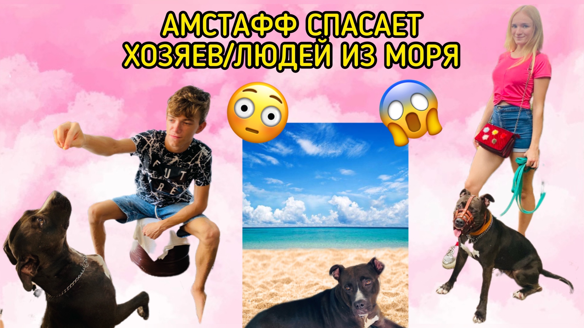 АМСТАФФ СПАСАЕТ ХОЗЯЕВ/ЛЮДЕЙ ИЗ МОРЯ