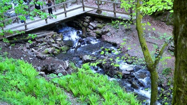 Водопад и мостик