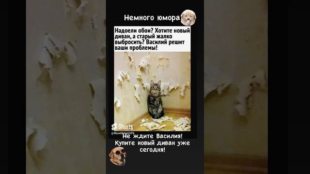 Немного юмора  #мебель #диван #мягкаямебель #мебельназаказ #юмор #шуточки #смешноевидео