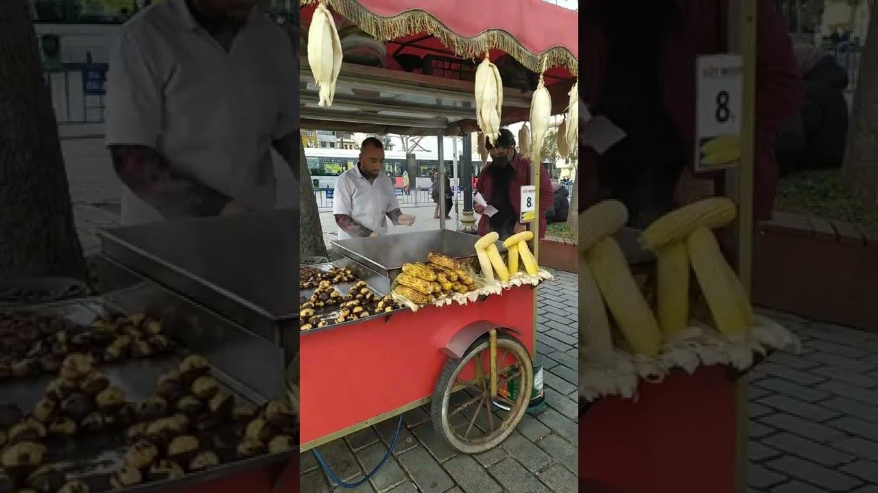 Стамбул 22.02.2022.