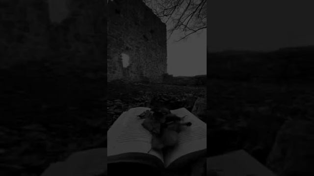 Осколки света_Йена Чиж