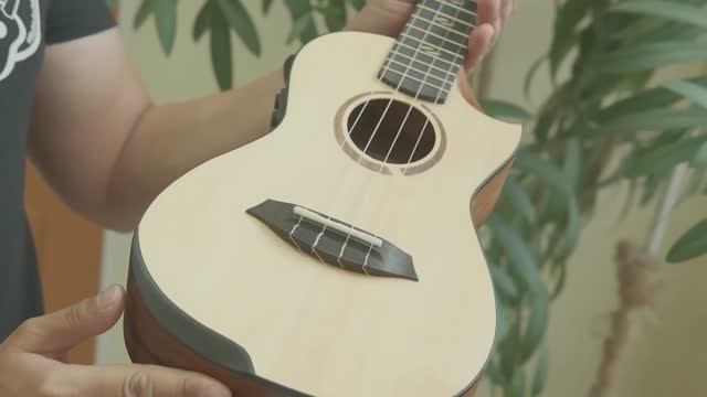 Обзор укулеле  FLIGHT VICTORIA CONCERT SOUNDWAVE