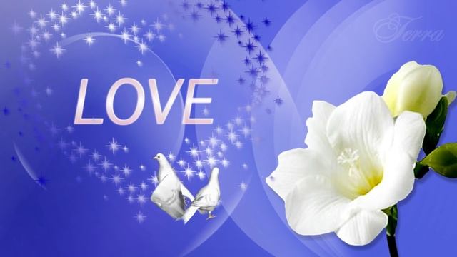 Свадебный проект . Счастья и Любви.