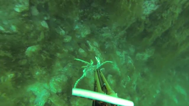 Баренцово море Охота