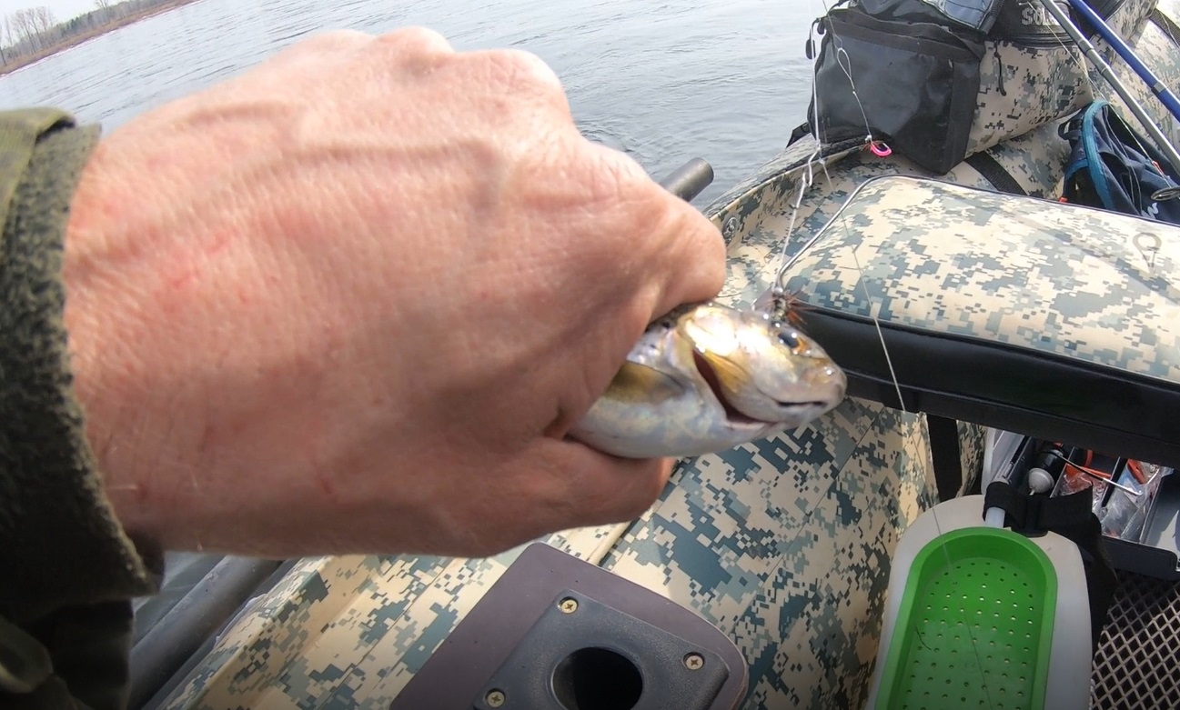 Поймал корягу