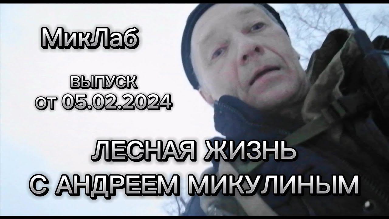 Лесная Жизнь с Андреем Микулиным. Непролазный снег. Выпуск от 05.02.2024. МикЛаб