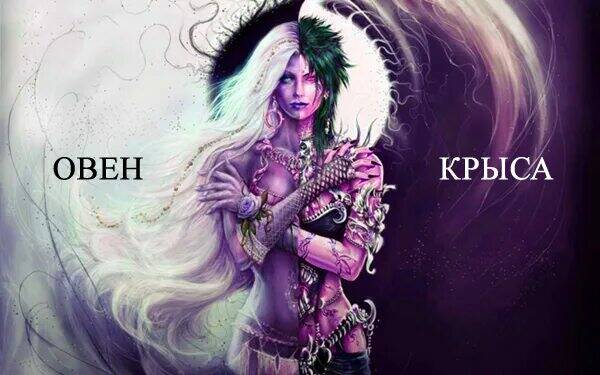 Совмещение гороскопов.  Крыса овен