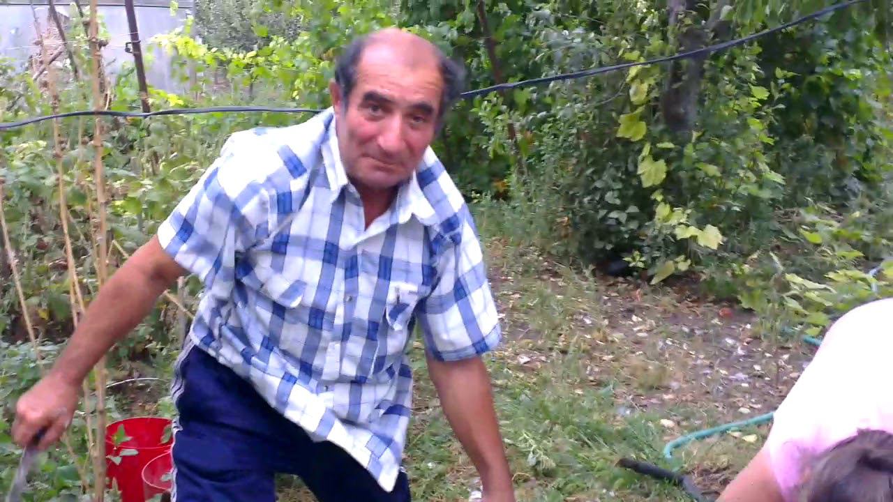 VIDEO0014