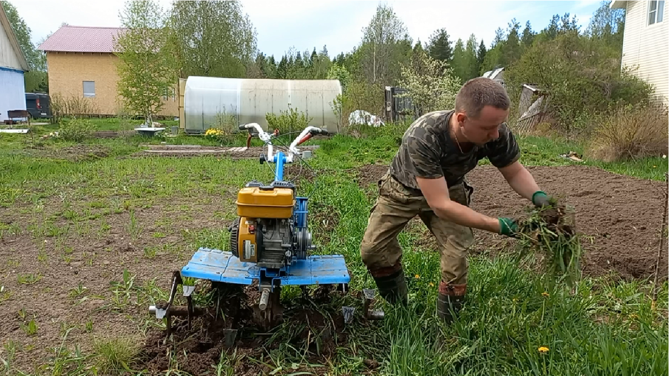 "ГУСИНЫЕ ЛАПКИ"Мотоблок Нева МБ-2.Сорняк вылетает сам!!!2 сотки за 10минут!Они лучшие!