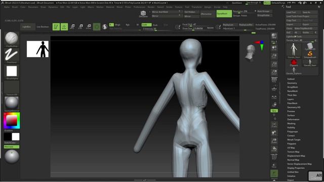 4. Female Primary Forms